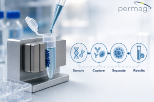 The Future of Bio-Magnetic Separation in Life Sciences - Permag